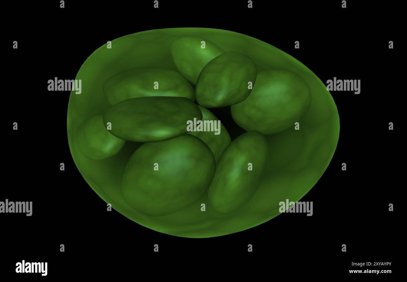 Microscopic algae plant cell hi-res stock photography and images - Alamy