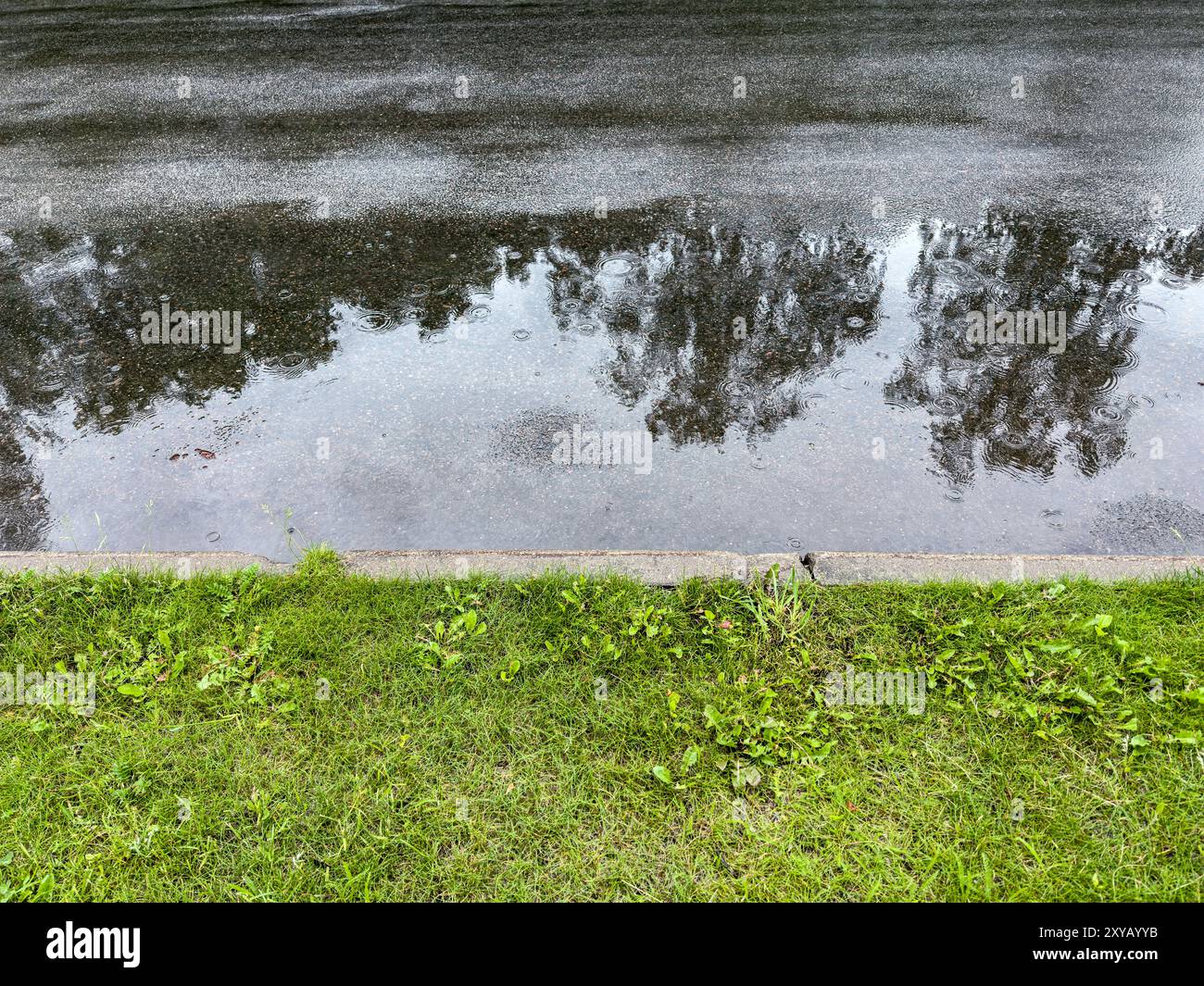 wet asphalt road with puddle, street concrete curb and roadside grass ...