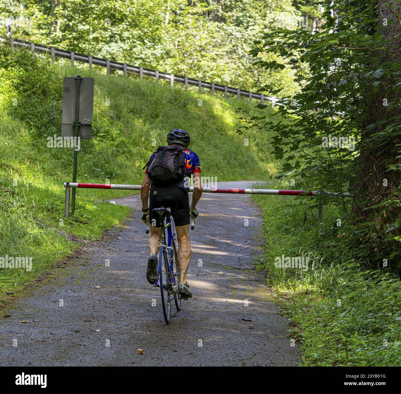 Cyclist on a circular route on Lake Tegernsee, Bavaria, Germany, Europe ...