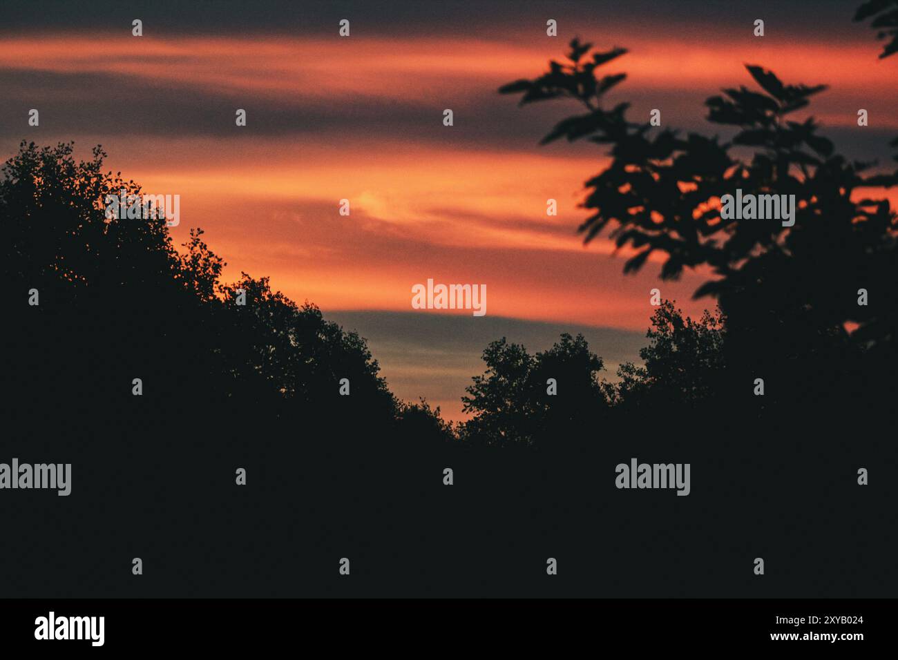 Beautiful evening sky majestic hi-res stock photography and images - Alamy