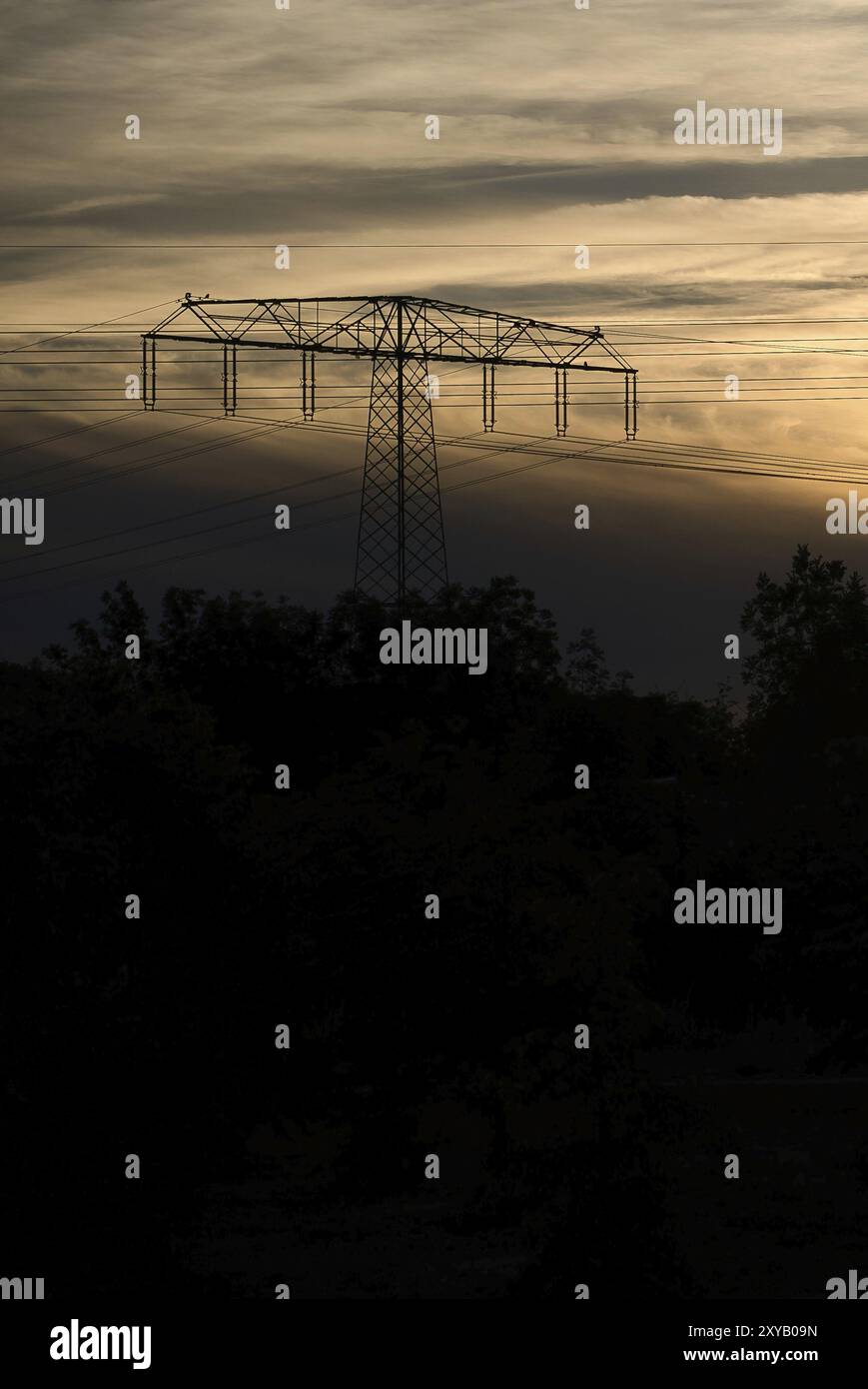 High-voltage power pole with overhead line through which the ...