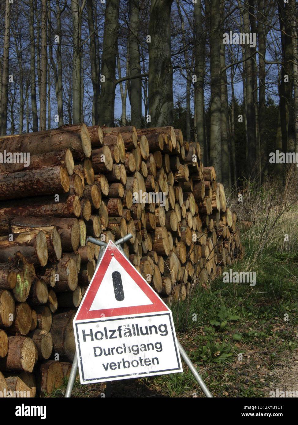 Warning sign on a forest path Stock Photo - Alamy