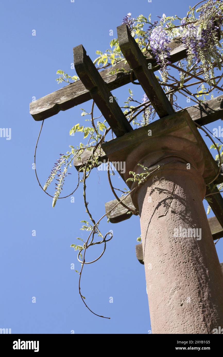 Stable climbing support Stock Photo - Alamy