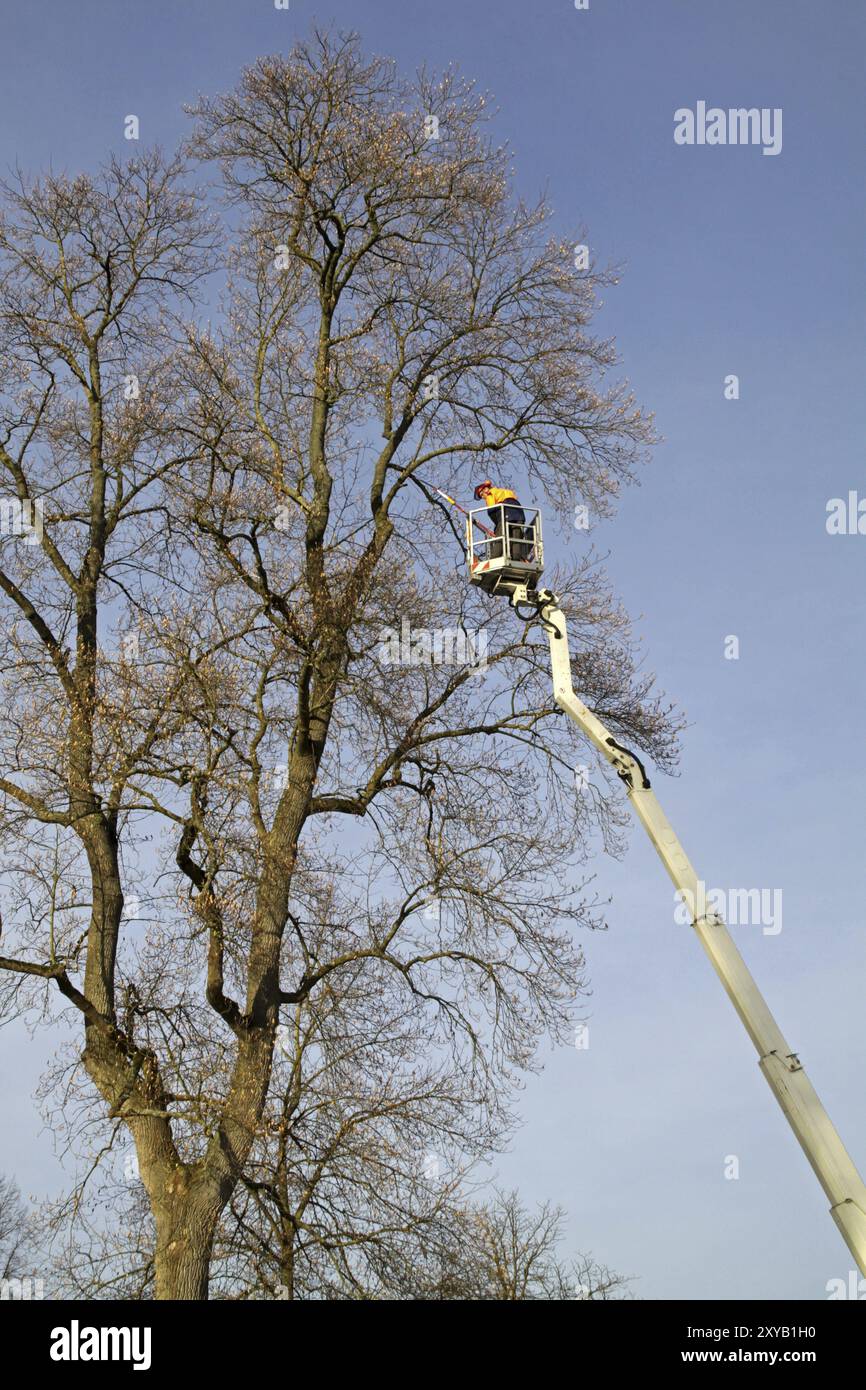 Yard prunings hi-res stock photography and images - Alamy