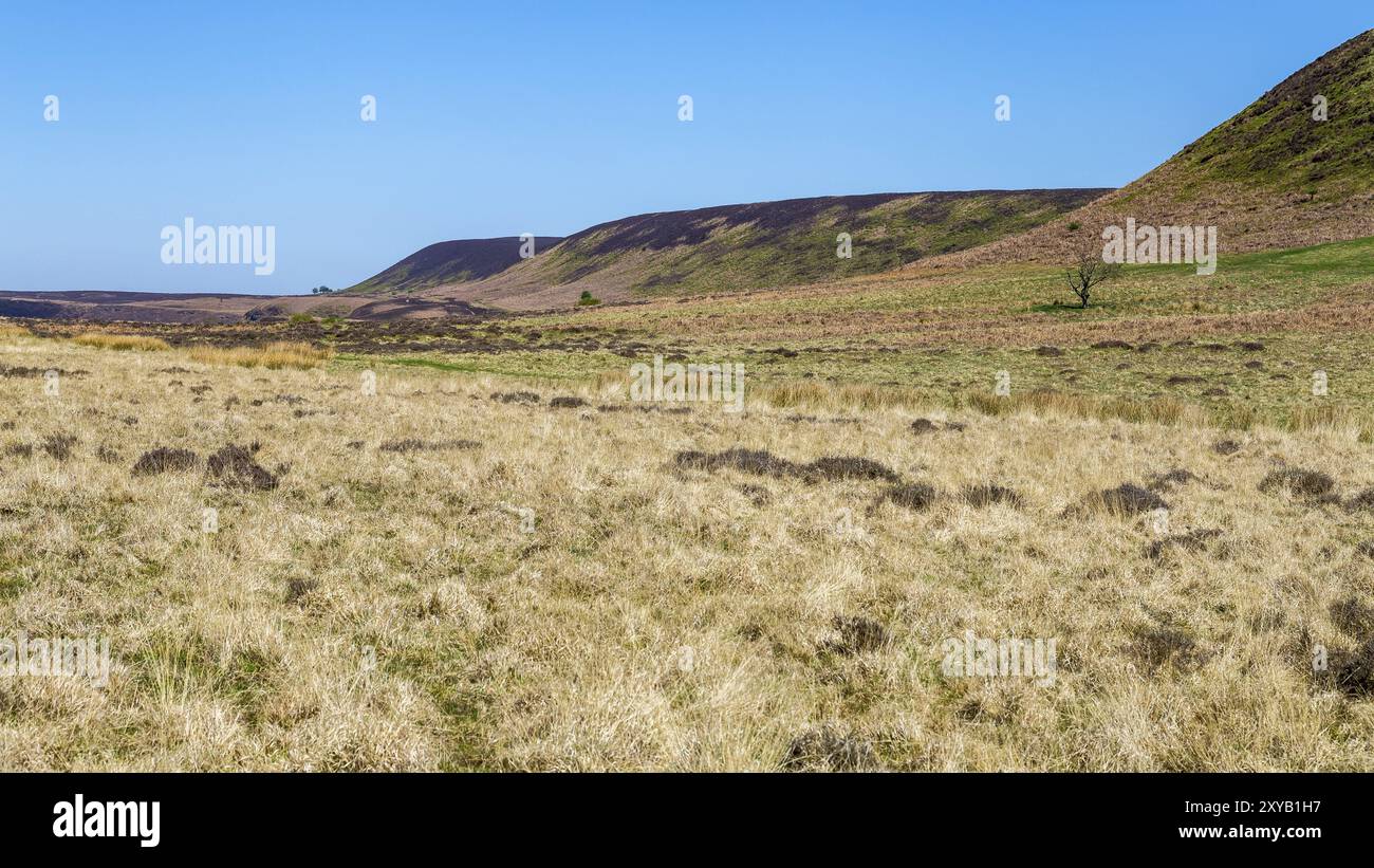 Levisham Moor, North York Moors National Park near Levisham, North ...