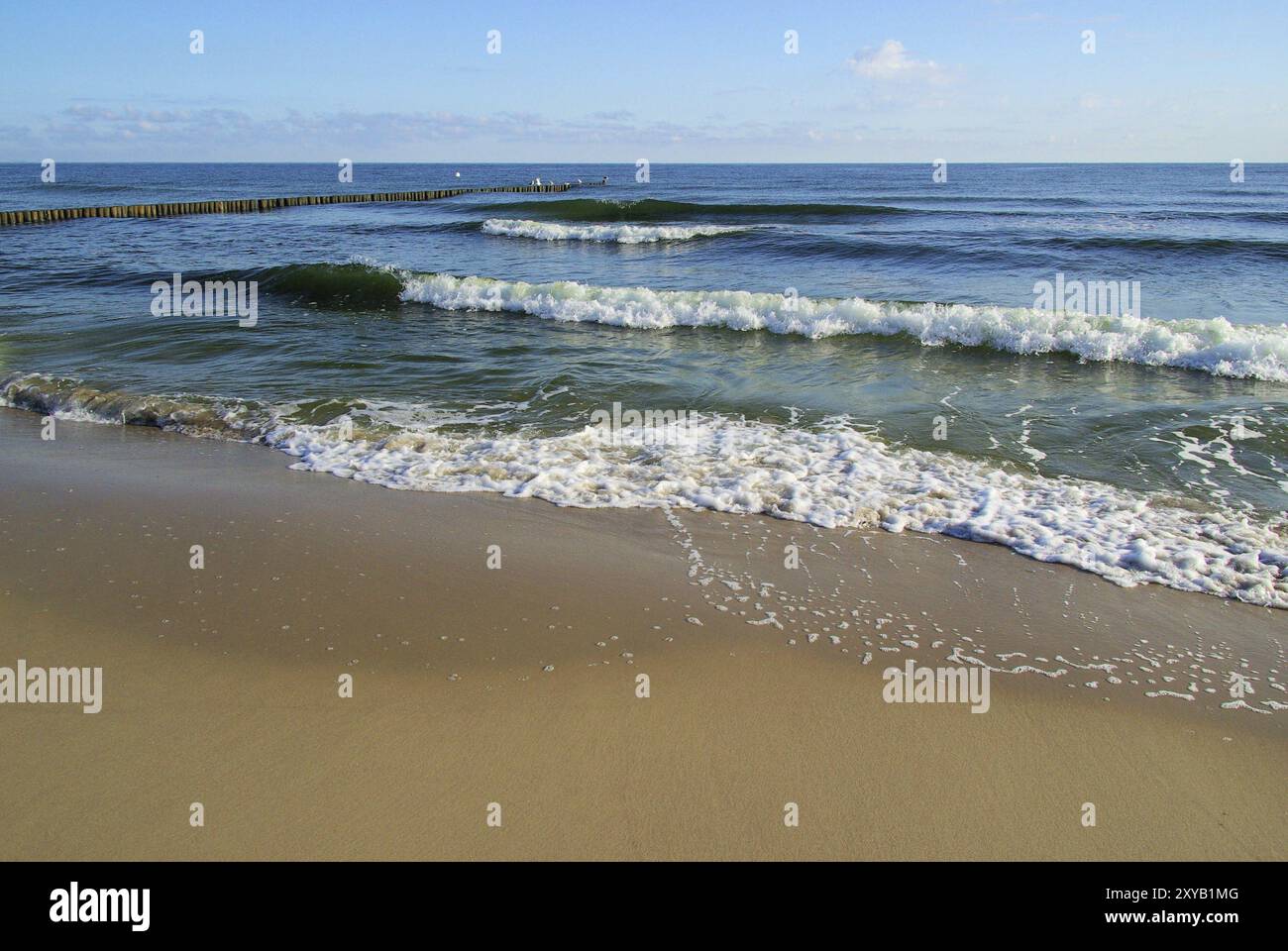 Baltic Sea beach, Ostseestrand 19 Stock Photo - Alamy