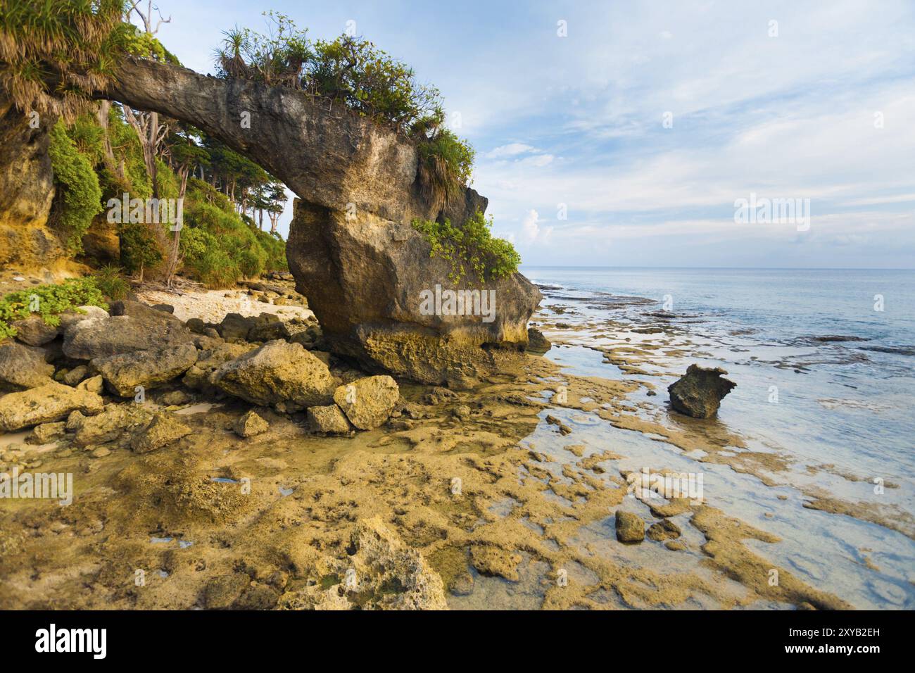 Low tide at the natural bridge landmark arch rock formation in a ...