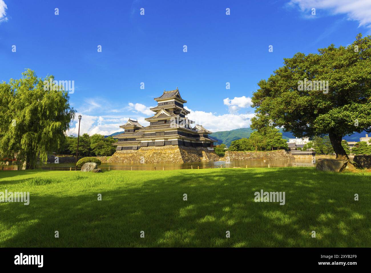Nature foreground of lawn and pleasant park with the imposing ancient ...
