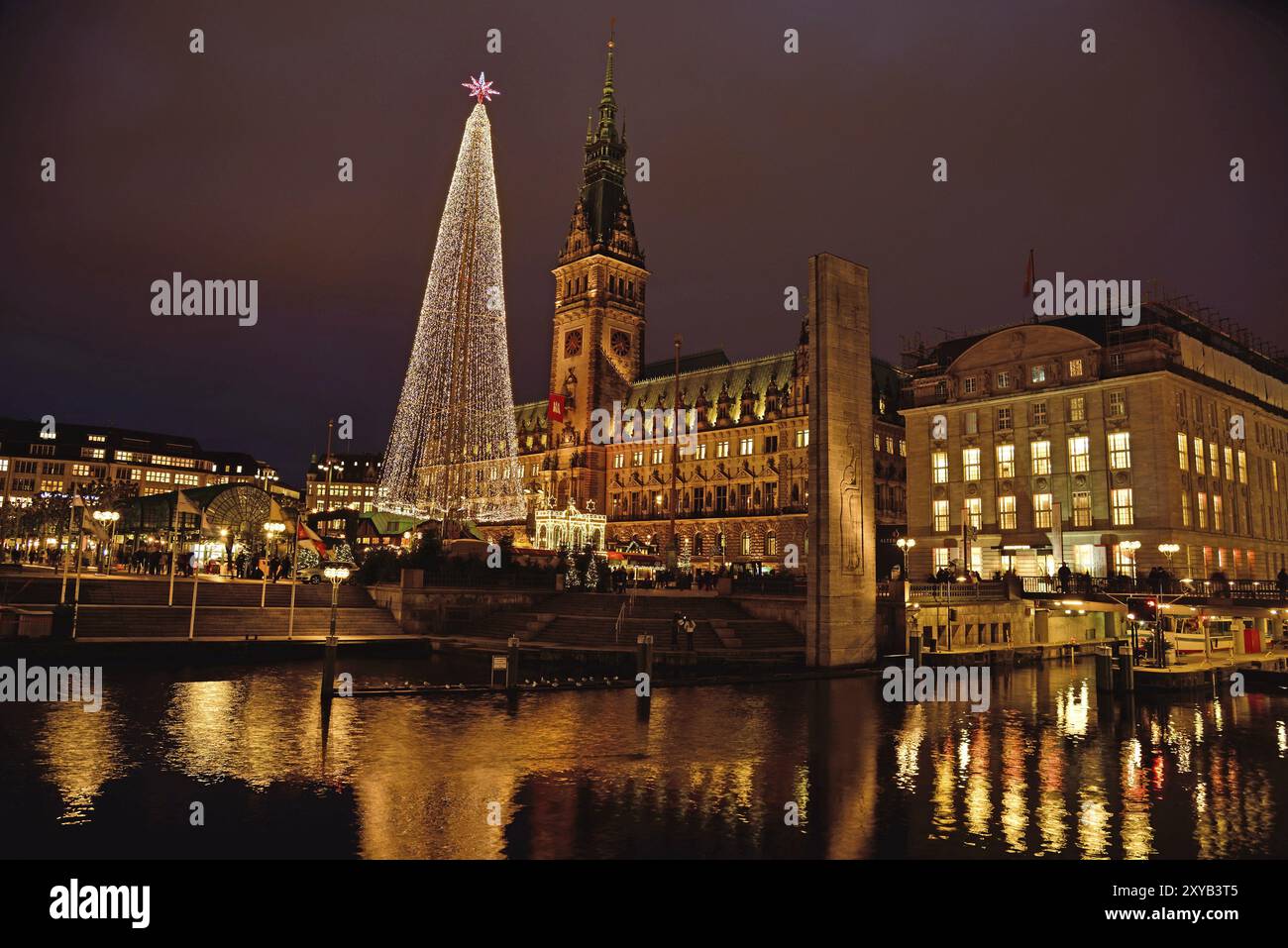Europe, Germany, Hamburg, City Hall, Christmas, Tree of Lights, Hamburg ...