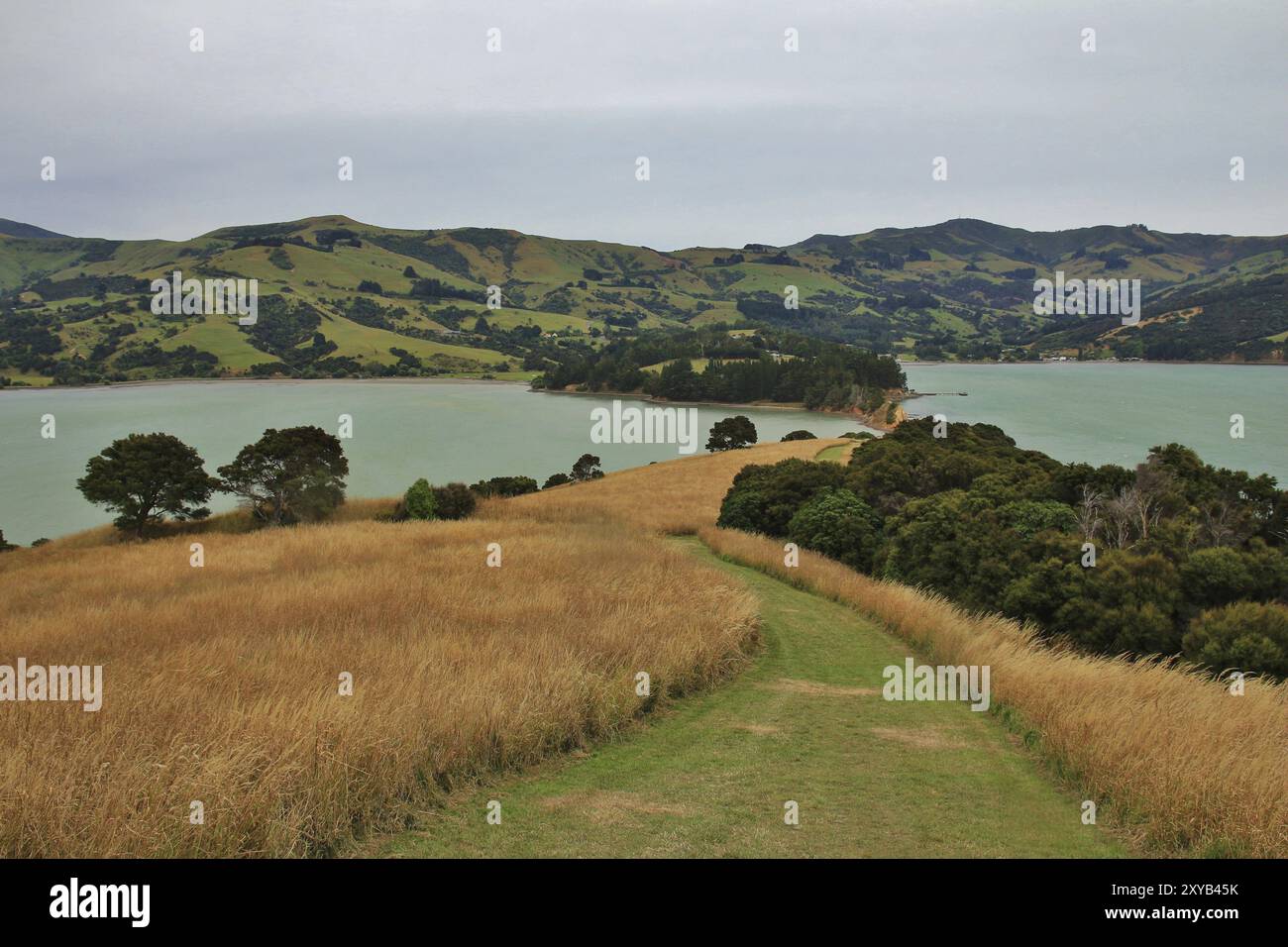 Landscape on the Banks Peninsula, New Zealand. Onawe, centre of a old ...