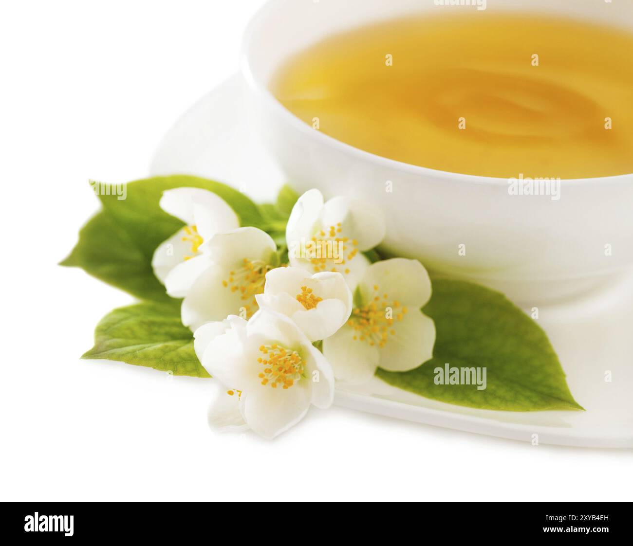 Single jasmine flower photo hi-res stock photography and images - Alamy