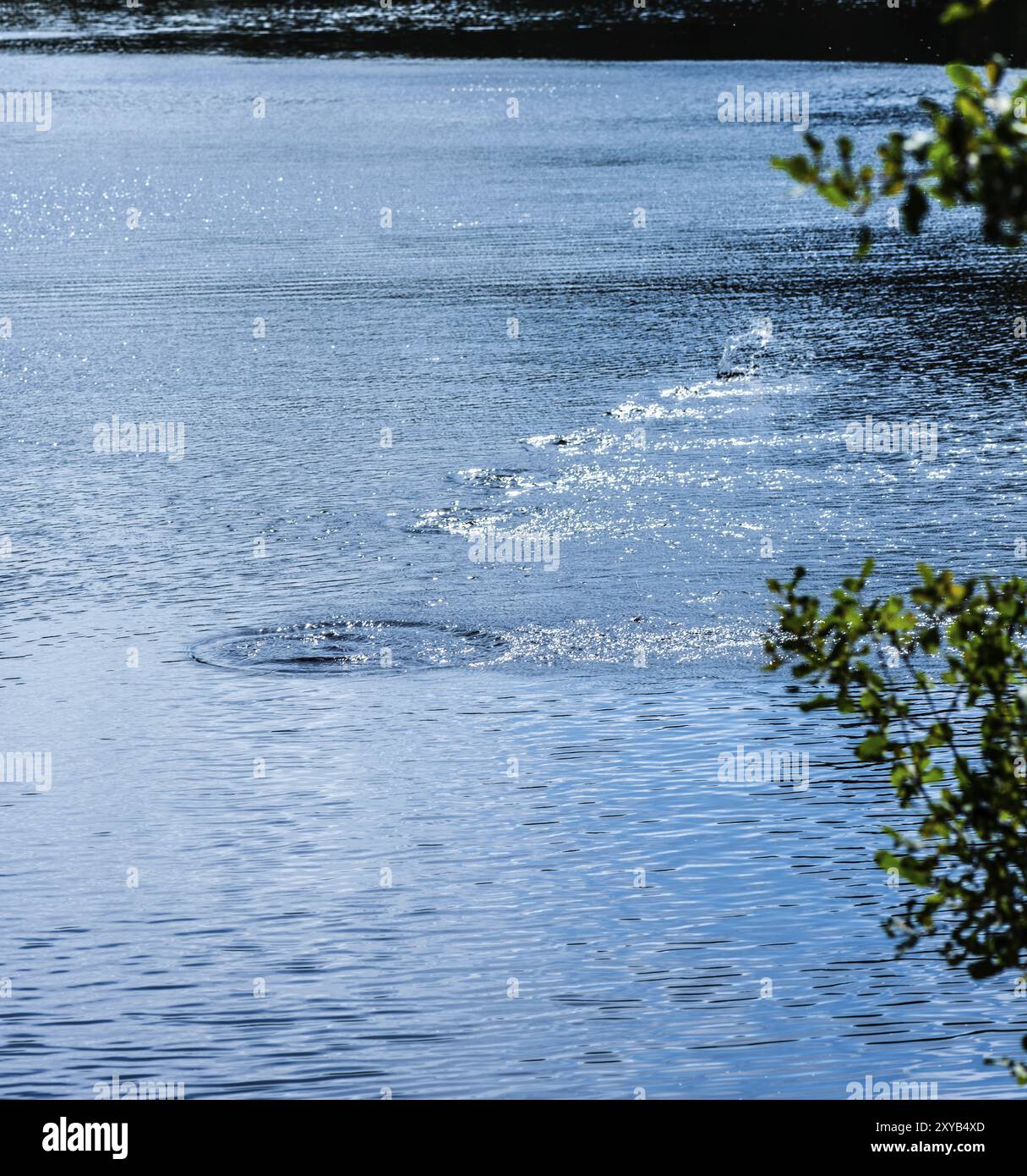 Skipping rocks hi-res stock photography and images - Alamy