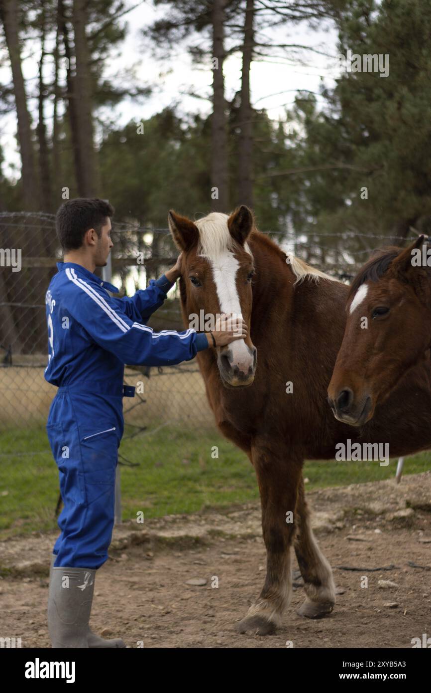Vertical portrait of young farmer guy picking up his horses petting and ...