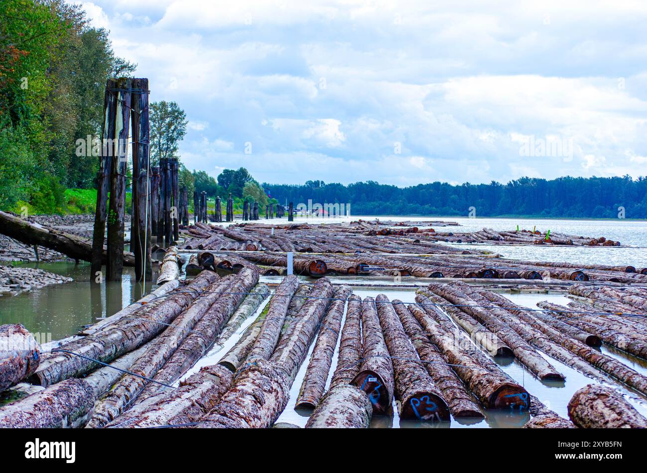 Log boom logging industry hi-res stock photography and images - Alamy