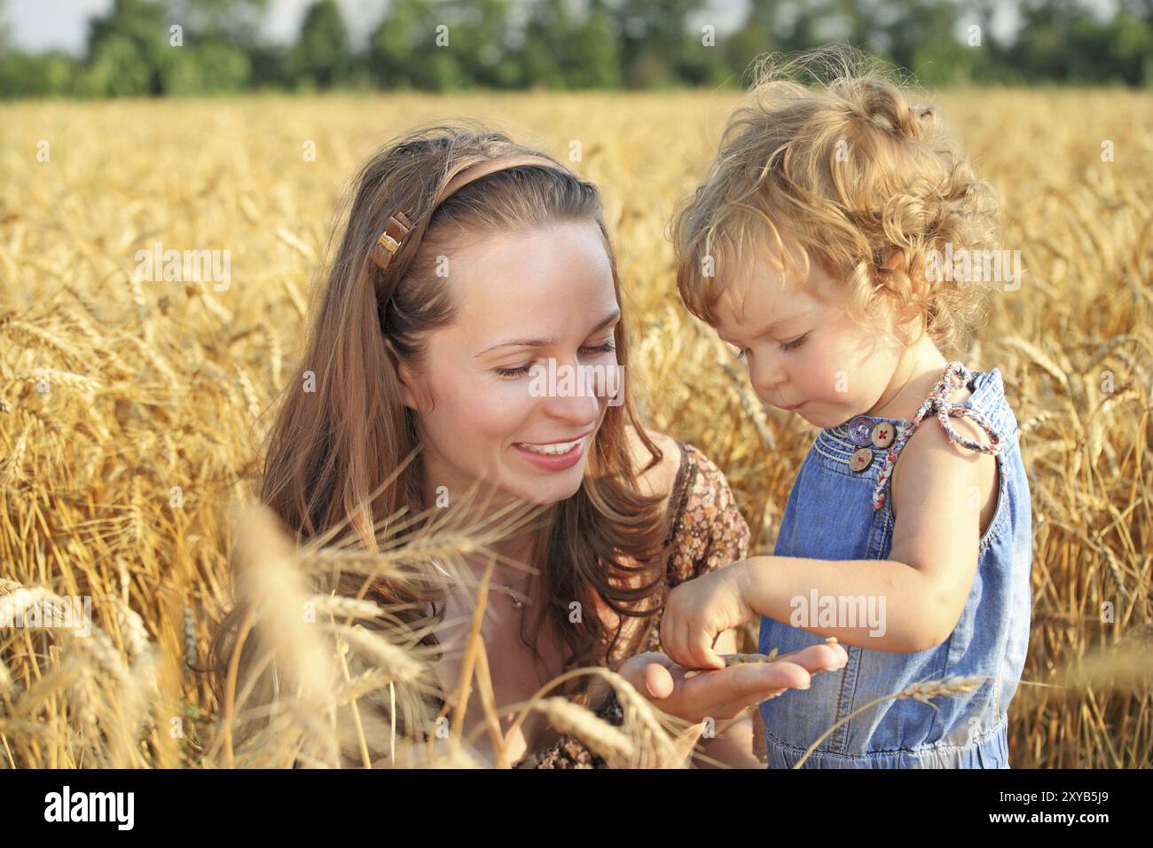 Wheat skinned hi-res stock photography and images - Alamy