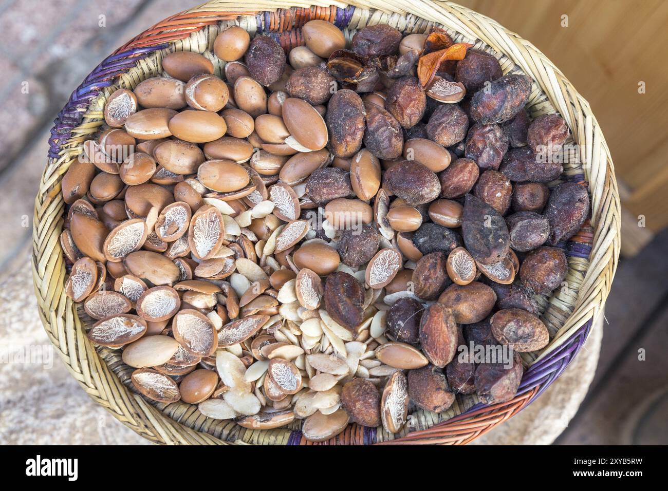 Argan nuts in a shell, Morocco, Africa Stock Photo - Alamy