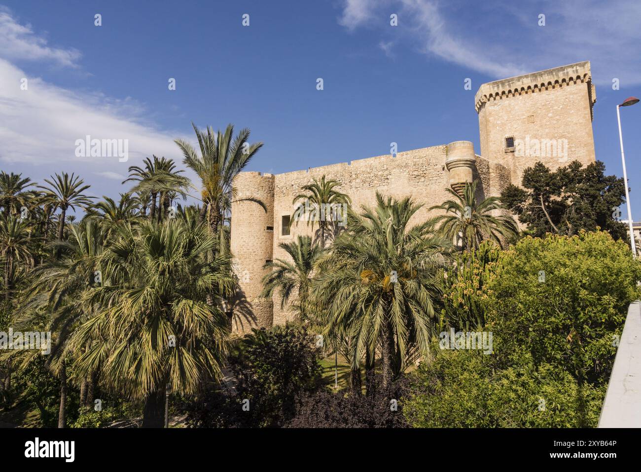 Palace of Altamira and Basilica of Santa Maria, Palm Grove of Elche ...