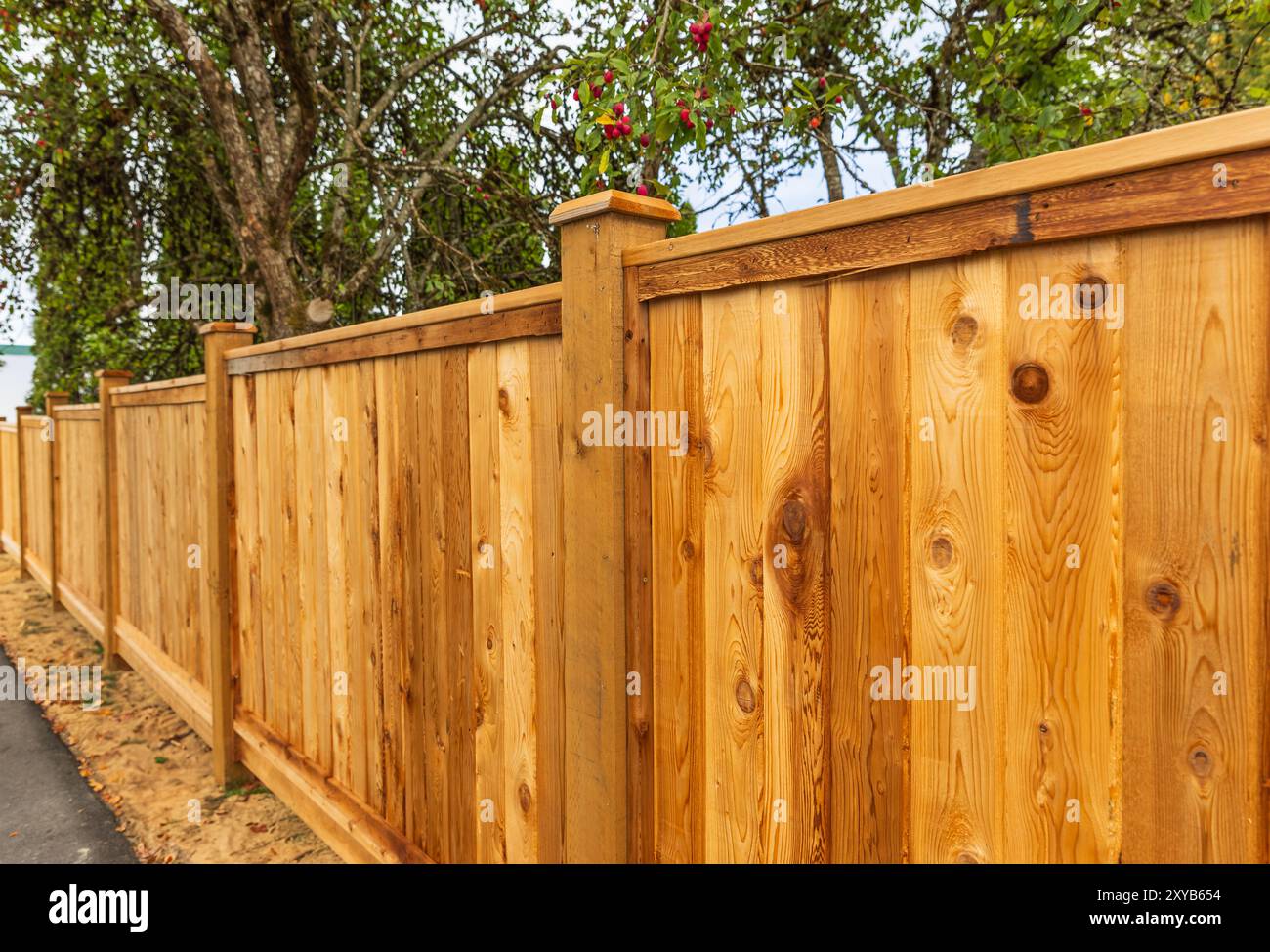 Big new wooden fence around the house and trees. Wooden fence with ...