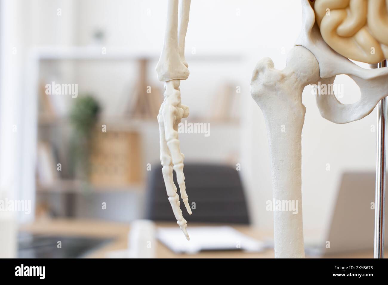 Setting up biological structure hi-res stock photography and images - Alamy