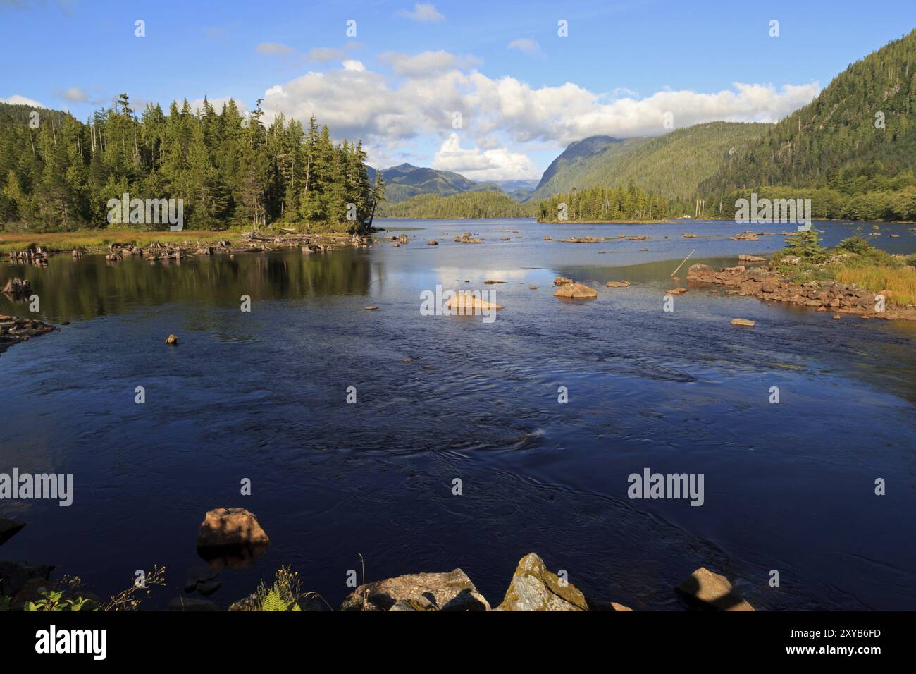 Canadian river landscape Stock Photo - Alamy