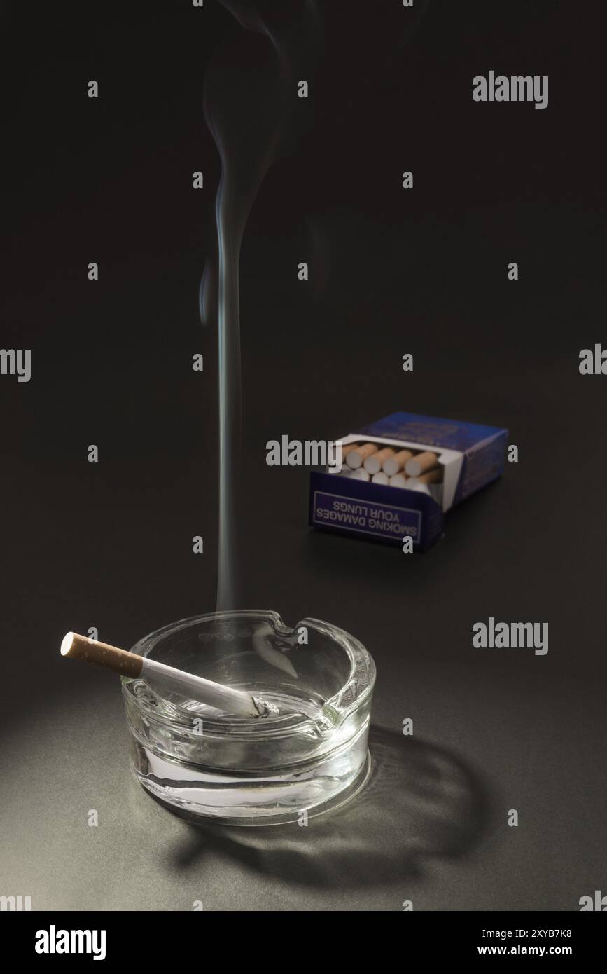 A lid cigarette lies burning in an ashtray, with the smoke floating up ...
