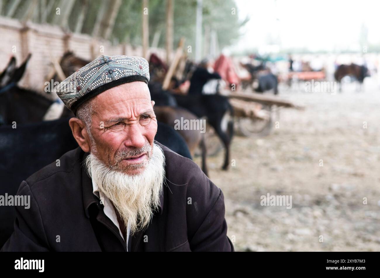 Portrait of an Uyghur man taken in the old city of Kashgar, Xinjiang ...