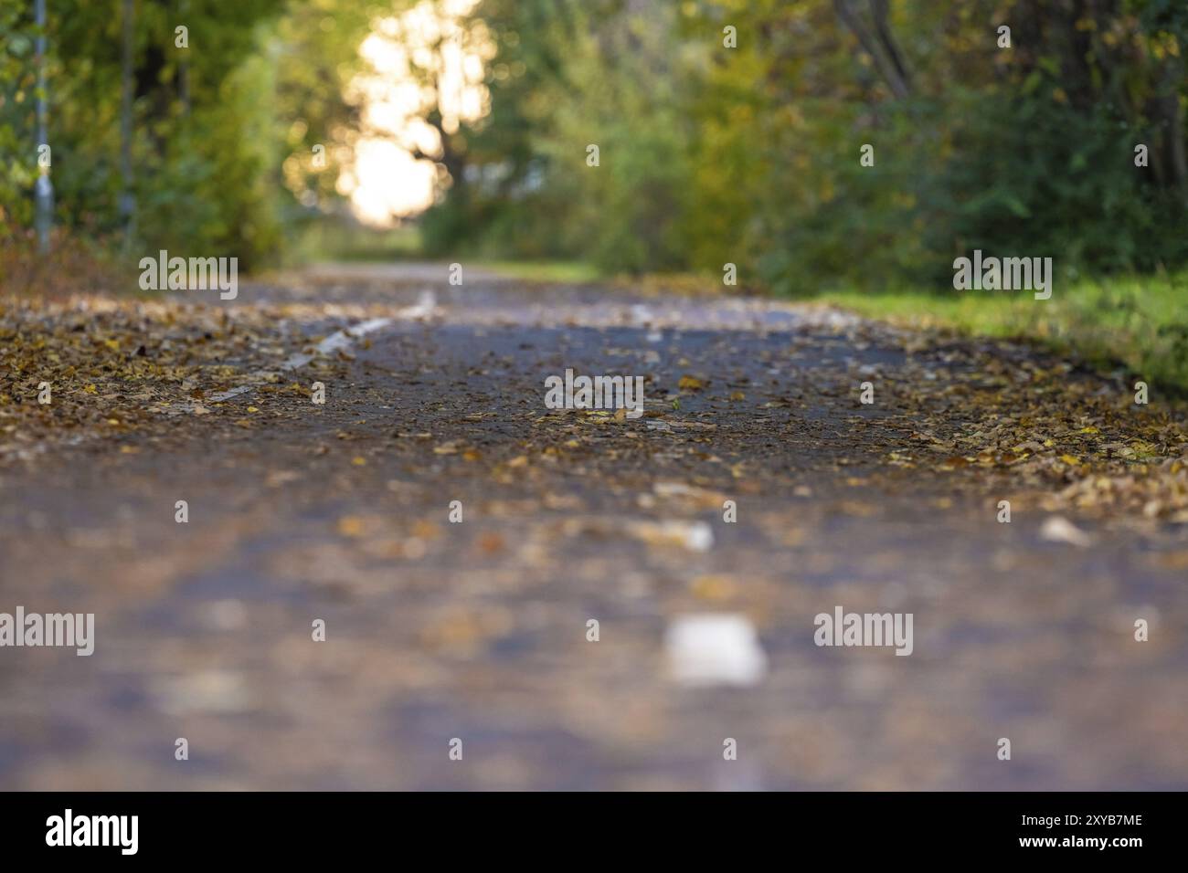 Bike paths leaves hi-res stock photography and images - Alamy