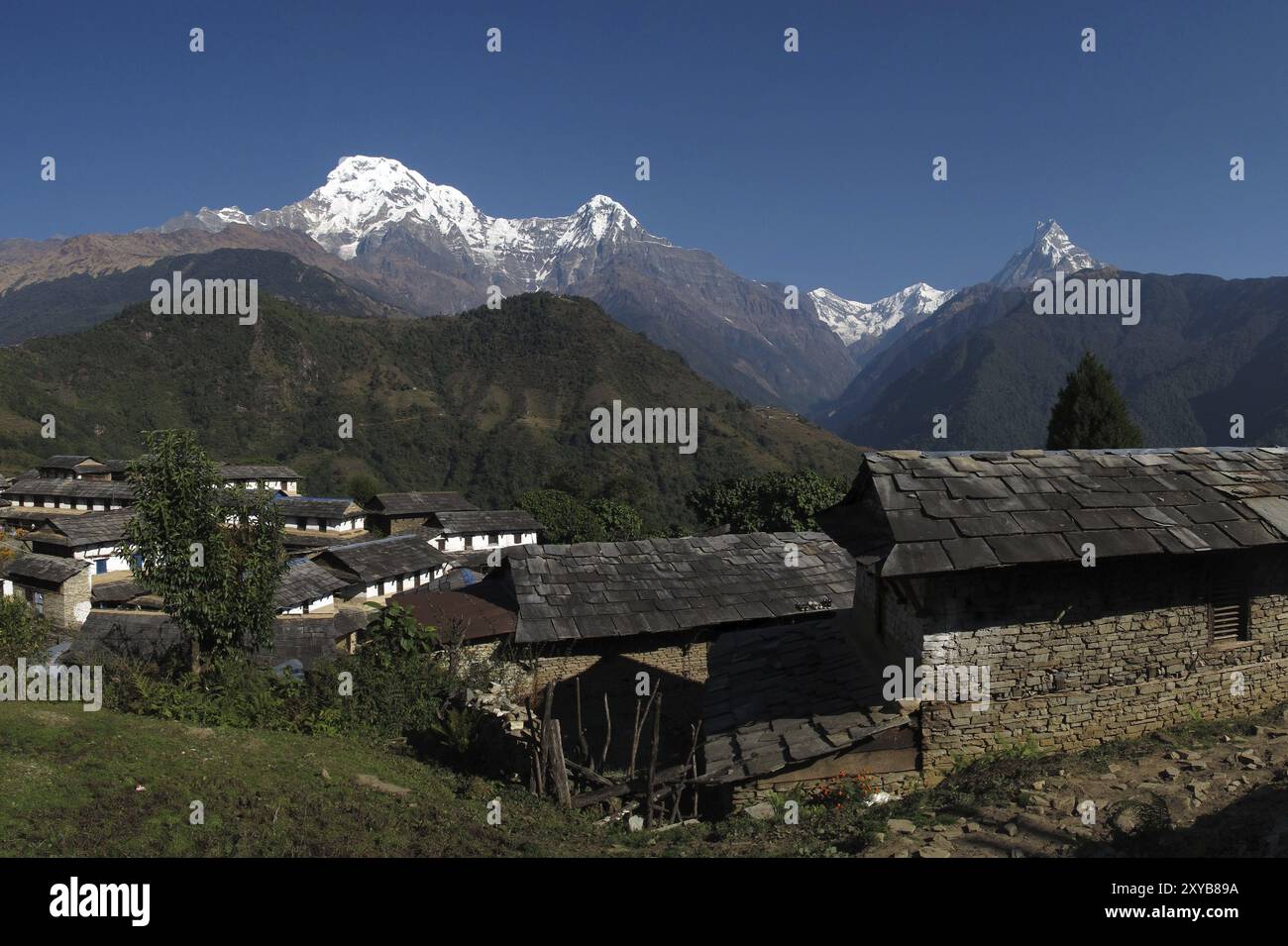 Morning in Ghandruk, famous Gurung village in the Annapurna ...