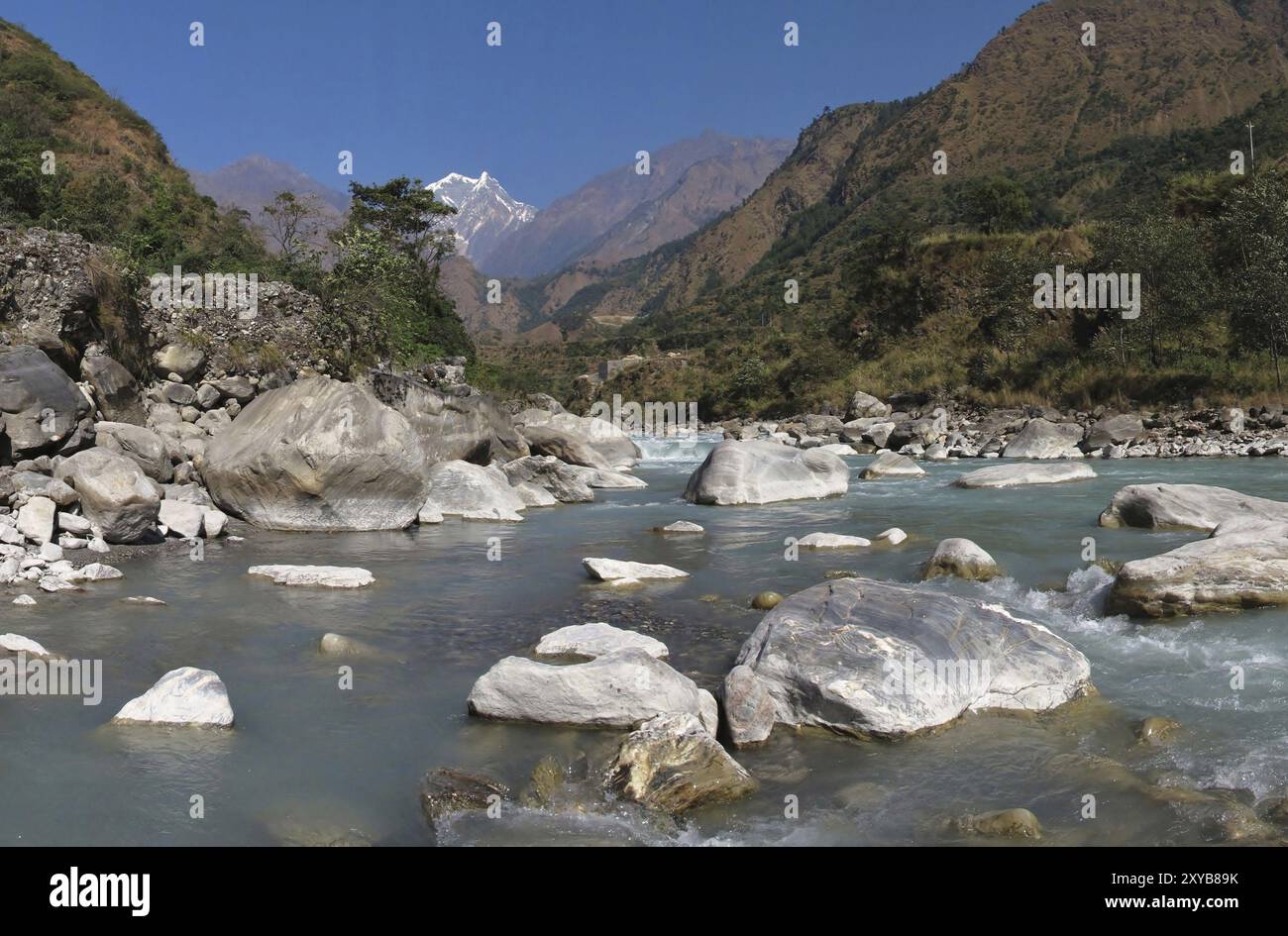 Nilgiri view hi-res stock photography and images - Alamy