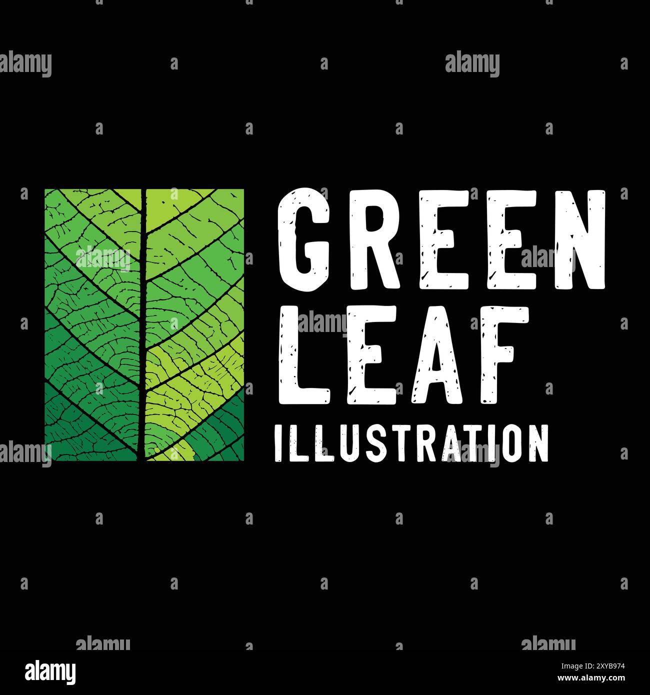 Square Realistic Close Up Green Leaf Tree for Environment Nature or ...