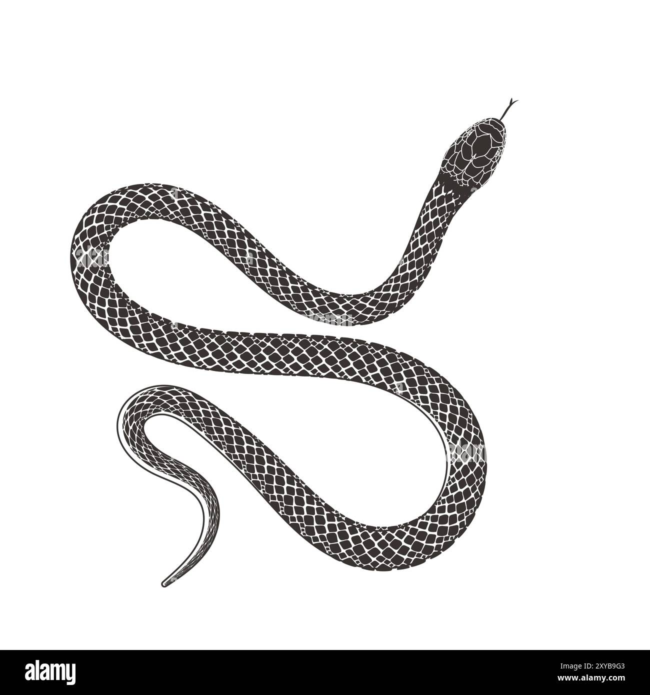 Eastern milk snake milksnake Stock Vector Images - Alamy