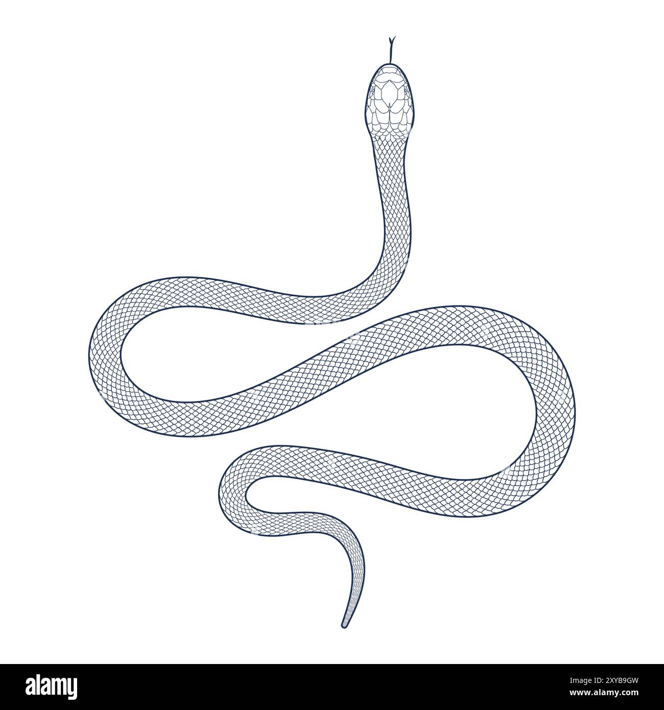 Vintage Retro Isolated Black Serpent Snake Silhouette Illustration ...