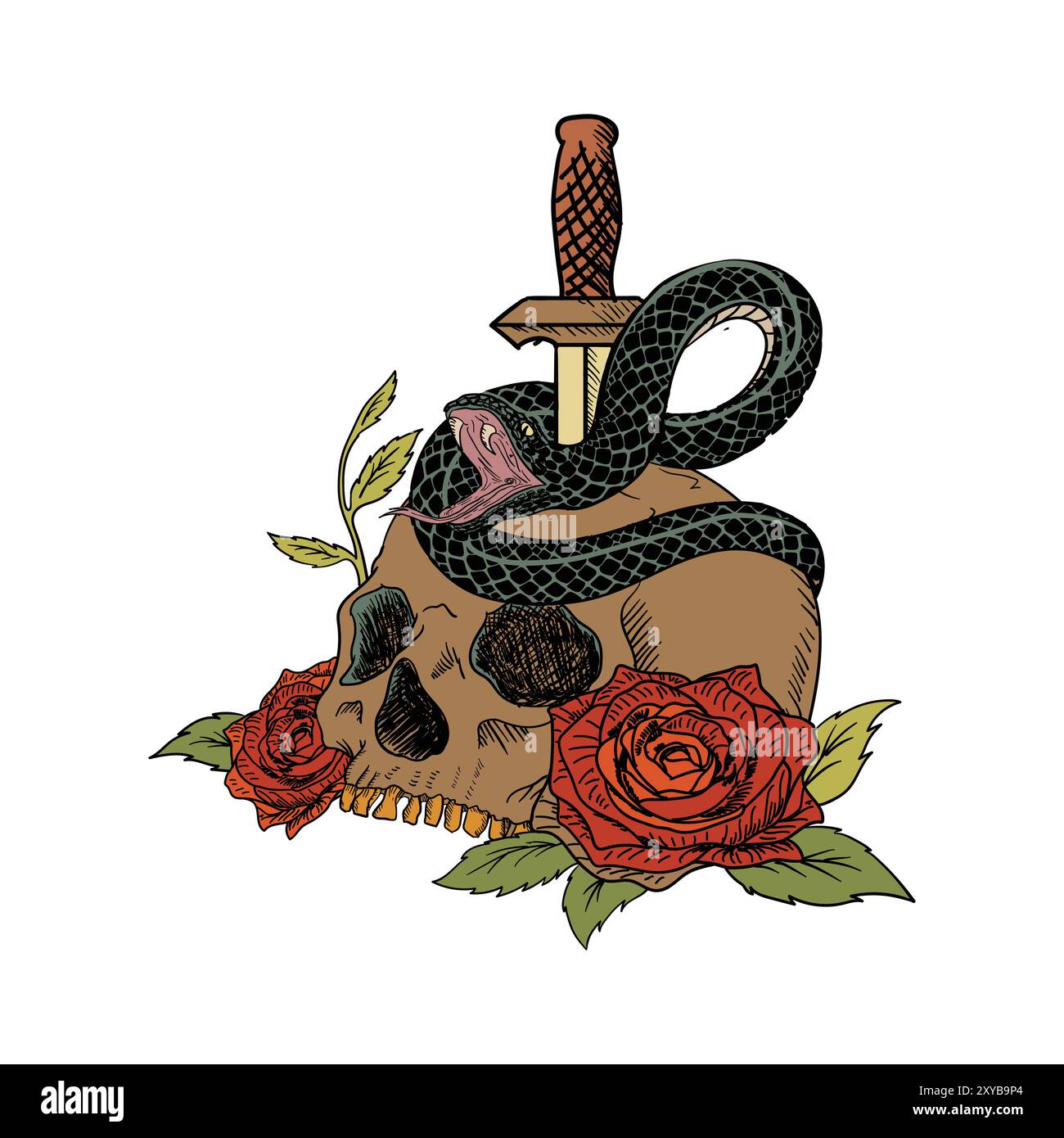 A Human Skulls with Roses Venomous Snake and Dagger on white background ...