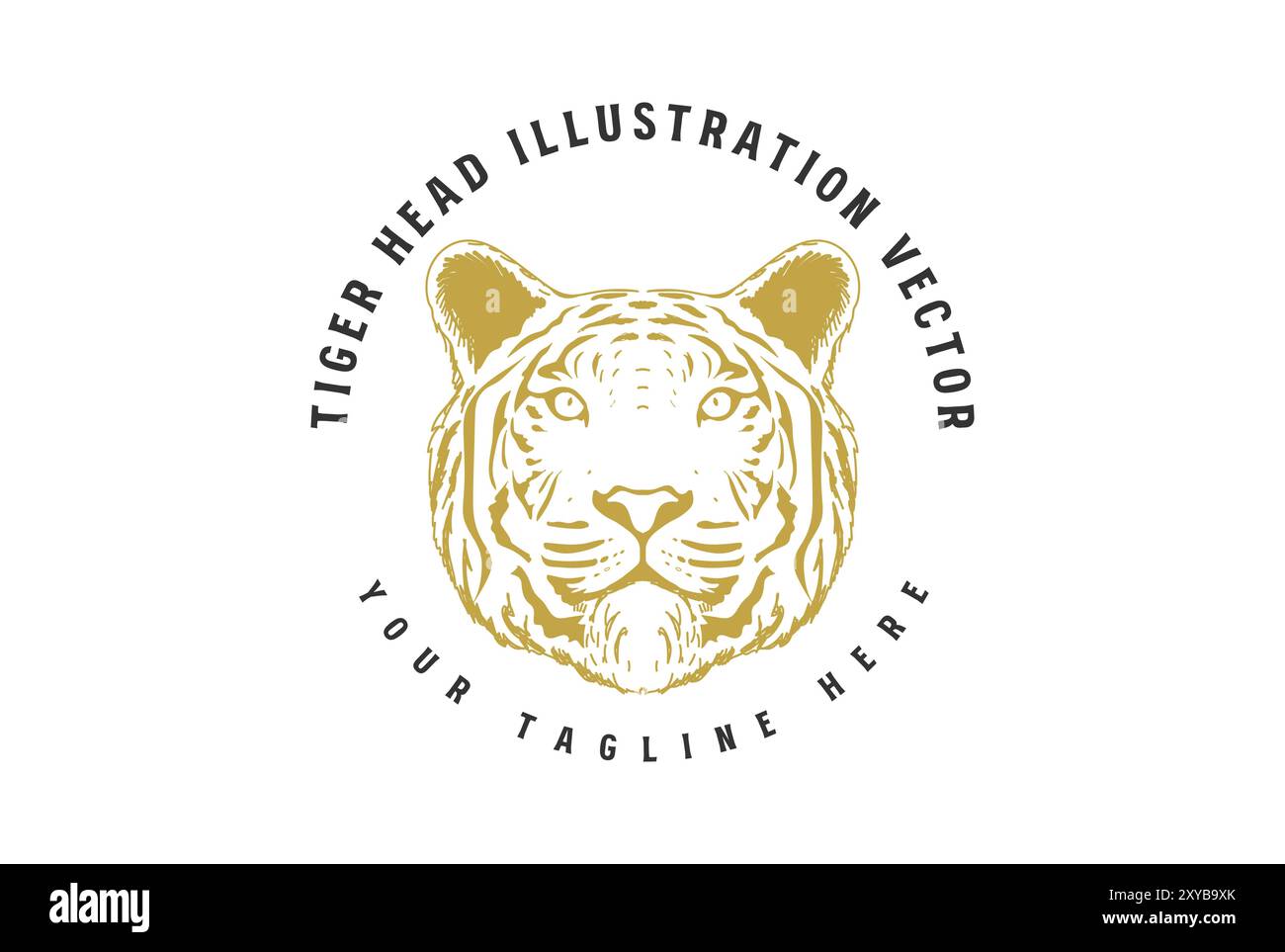 Vintage Circular Wildcat Tiger Head Face Badge Emblem Illustration Vector Stock Vector Image ...