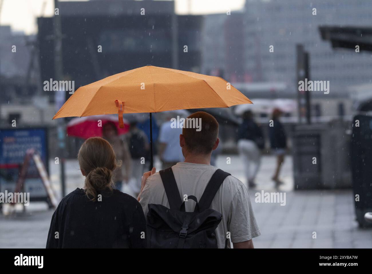 Symbolic picture weather, heavy rain in summer, thunderstorm ...