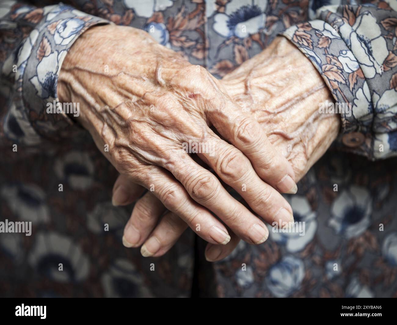 Aging process, very old senior woman hands wrinkled skin Stock Photo ...