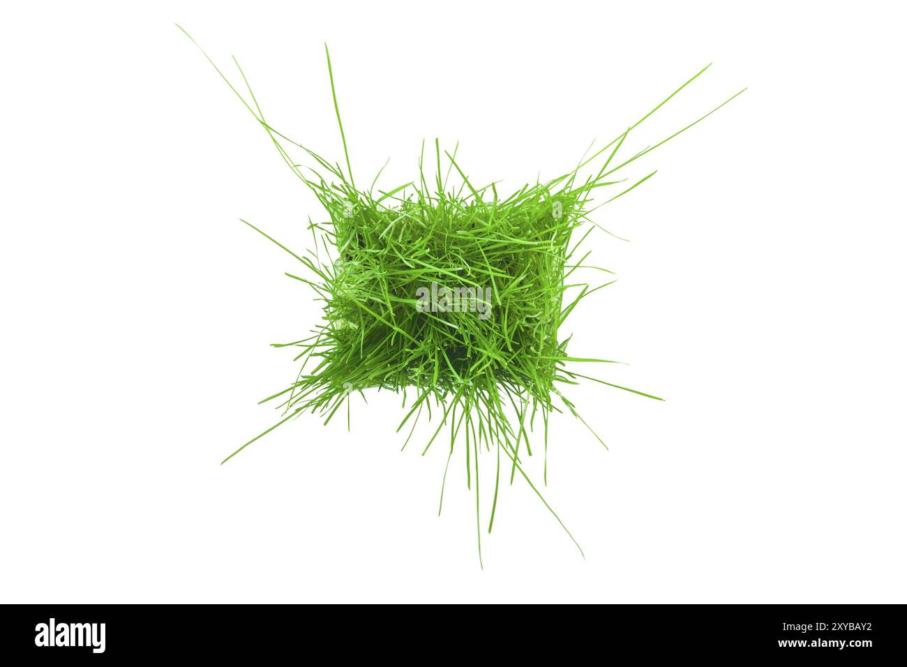 Top down view exposed Cut Out Stock Images & Pictures - Alamy