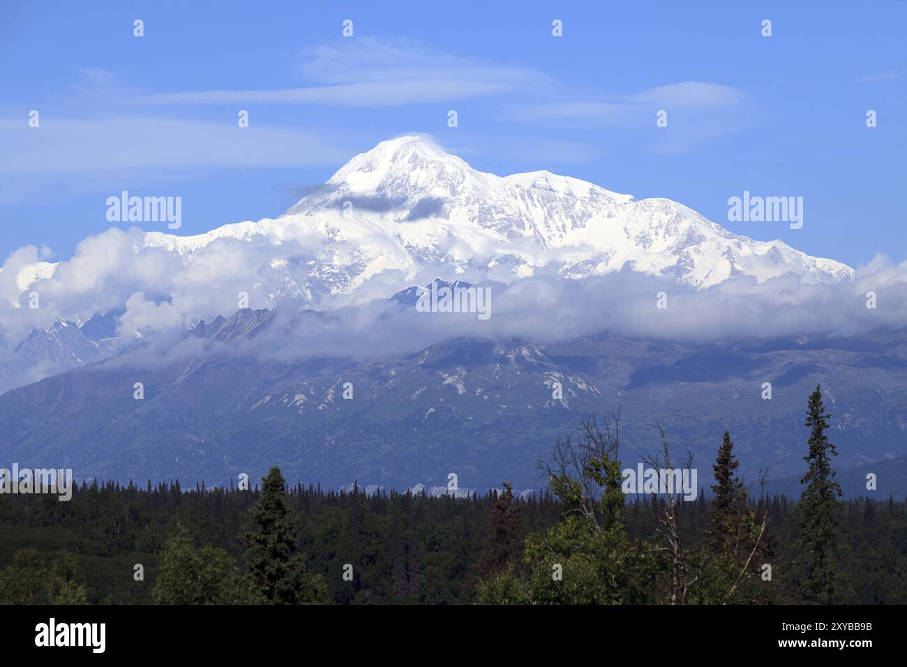 Denali river top view hi-res stock photography and images - Alamy