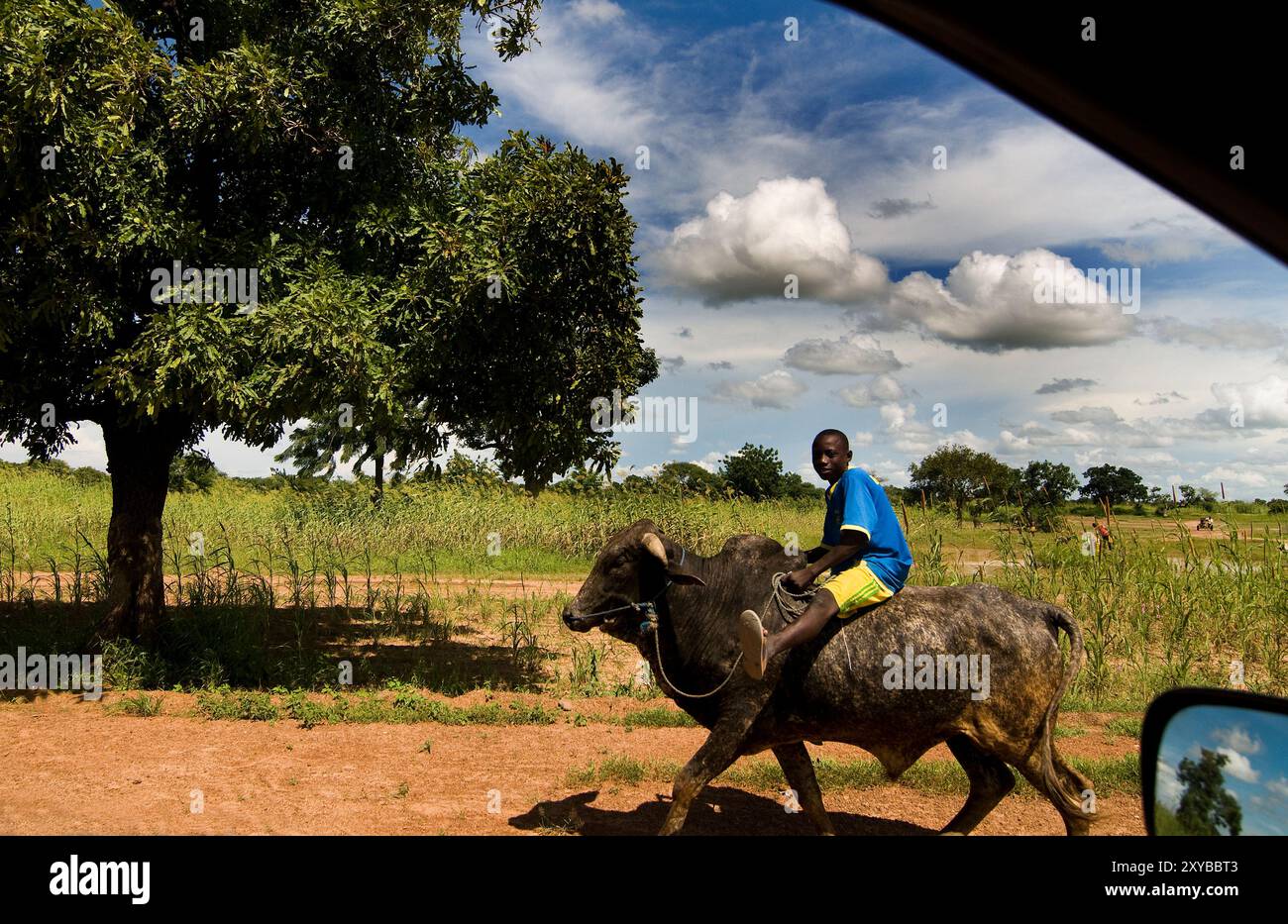 A Burkinabe boy riding an ox in rural Burkina Faso Stock Photo - Alamy