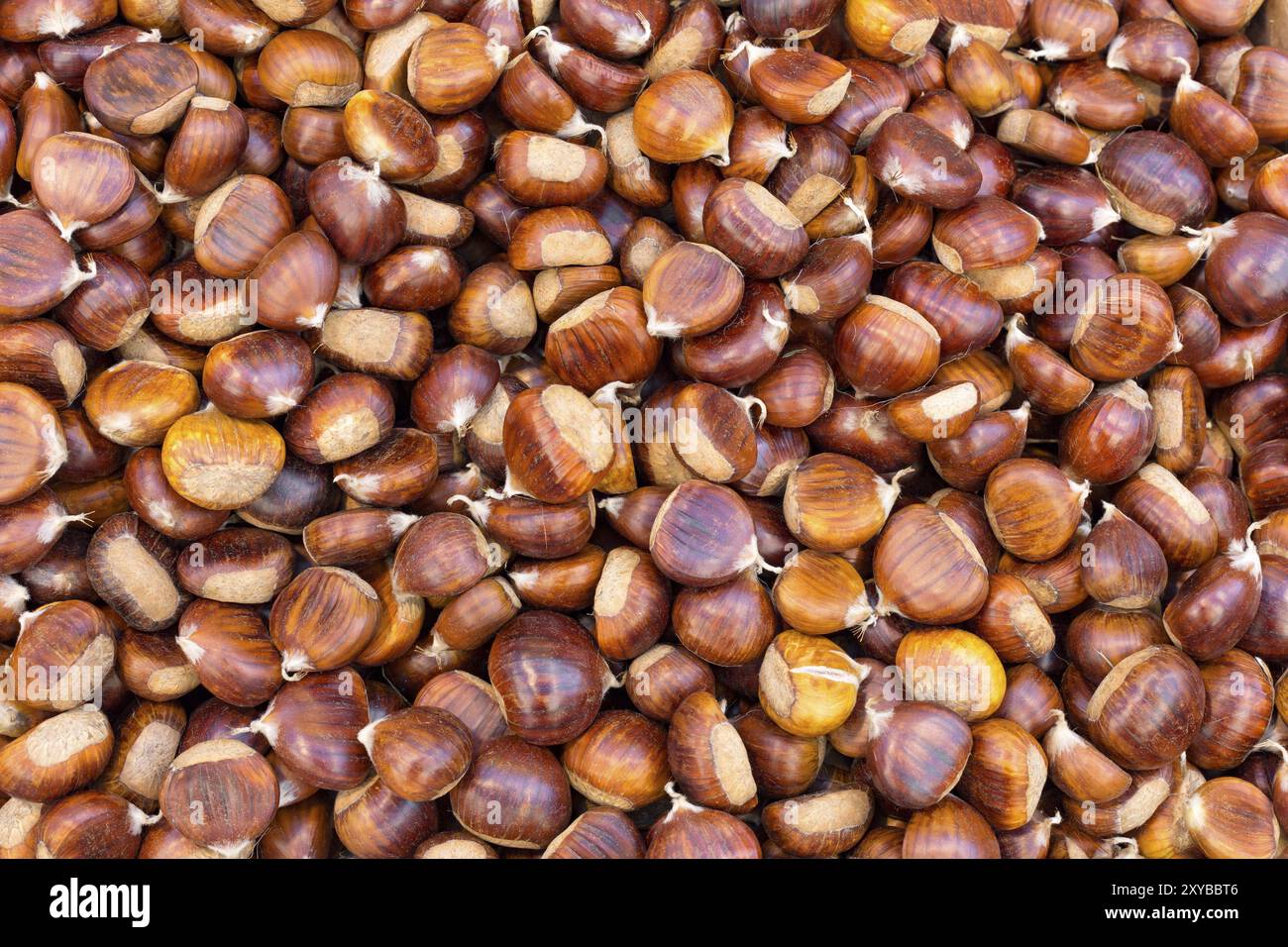 Full chestnuts hi-res stock photography and images - Alamy