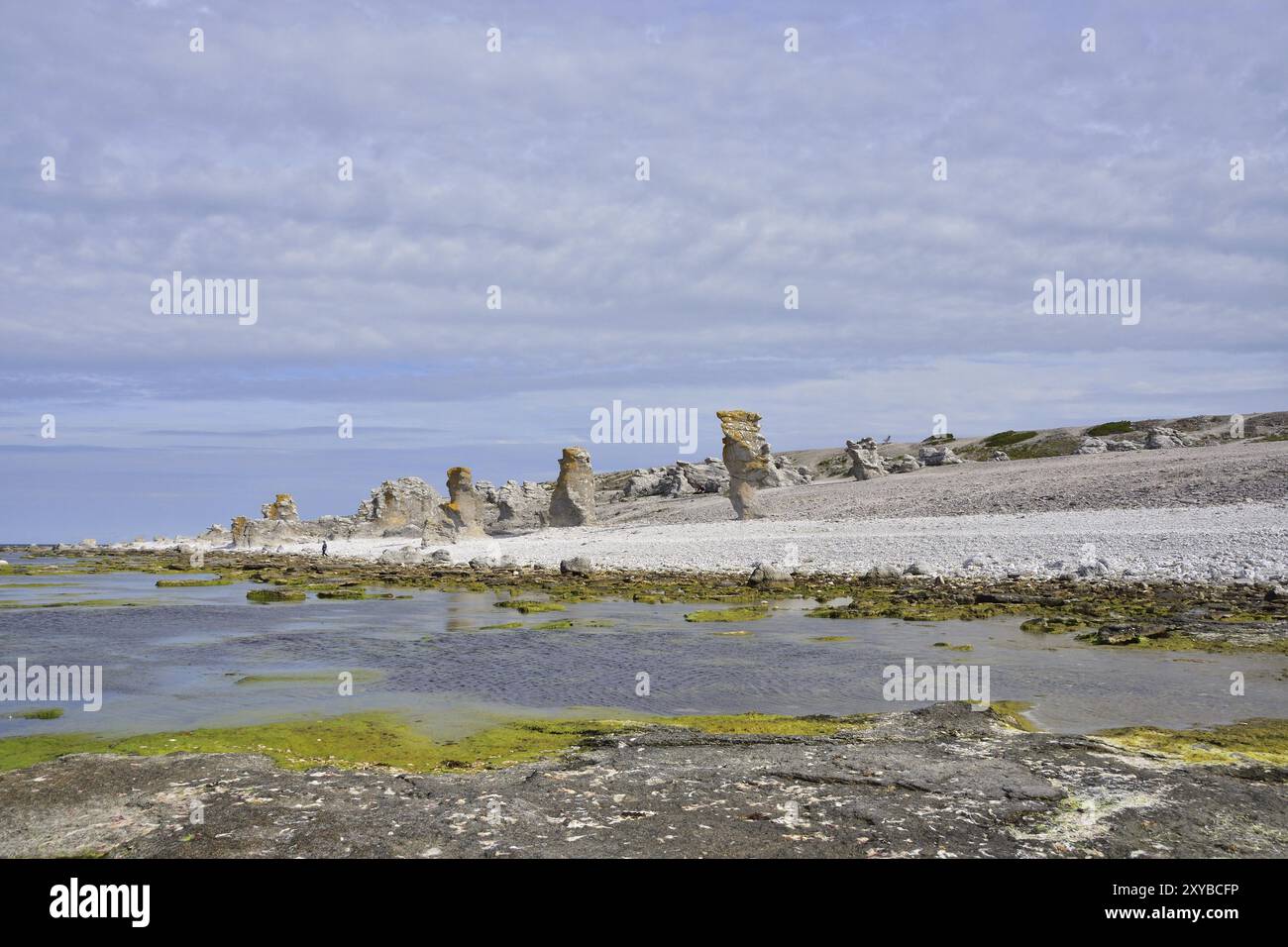 Coast with rough stones at Langhammars on the island of Faroe on ...