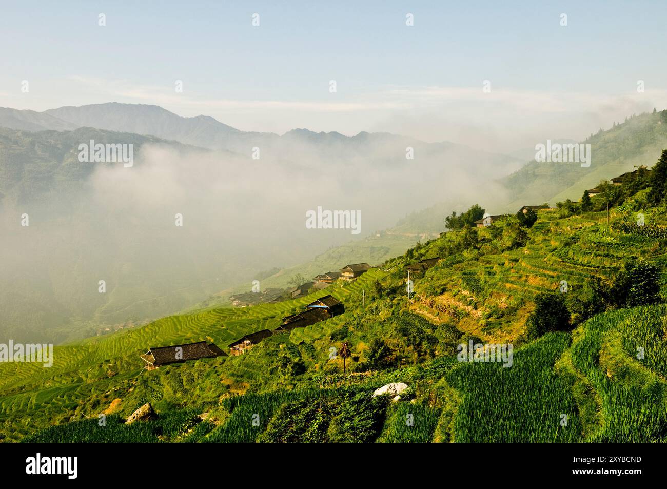 The amazing rice terraces of LongJi in Guangxi, China Stock Photo - Alamy