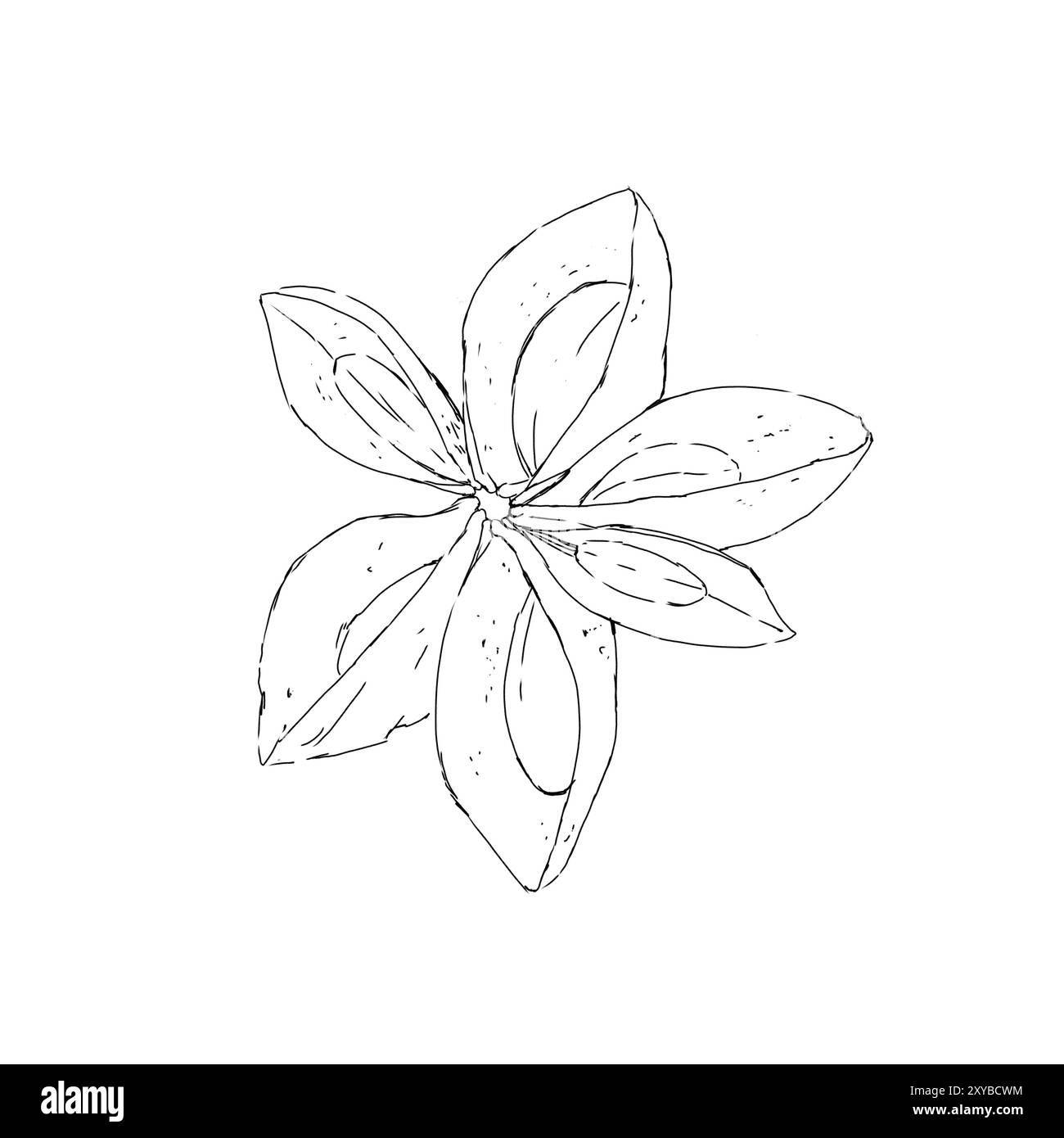 Star icon black outline Black and White Stock Photos & Images - Alamy