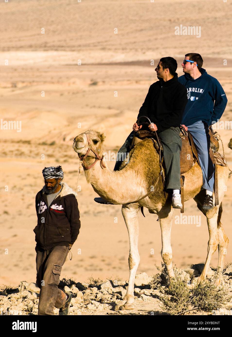 Camel riding israel hi-res stock photography and images - Alamy