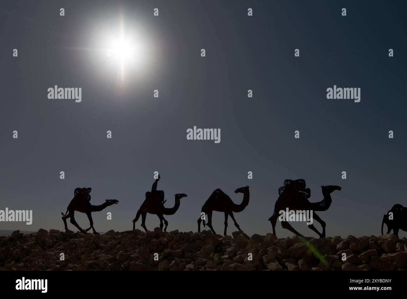 Camel riding israel hi-res stock photography and images - Alamy
