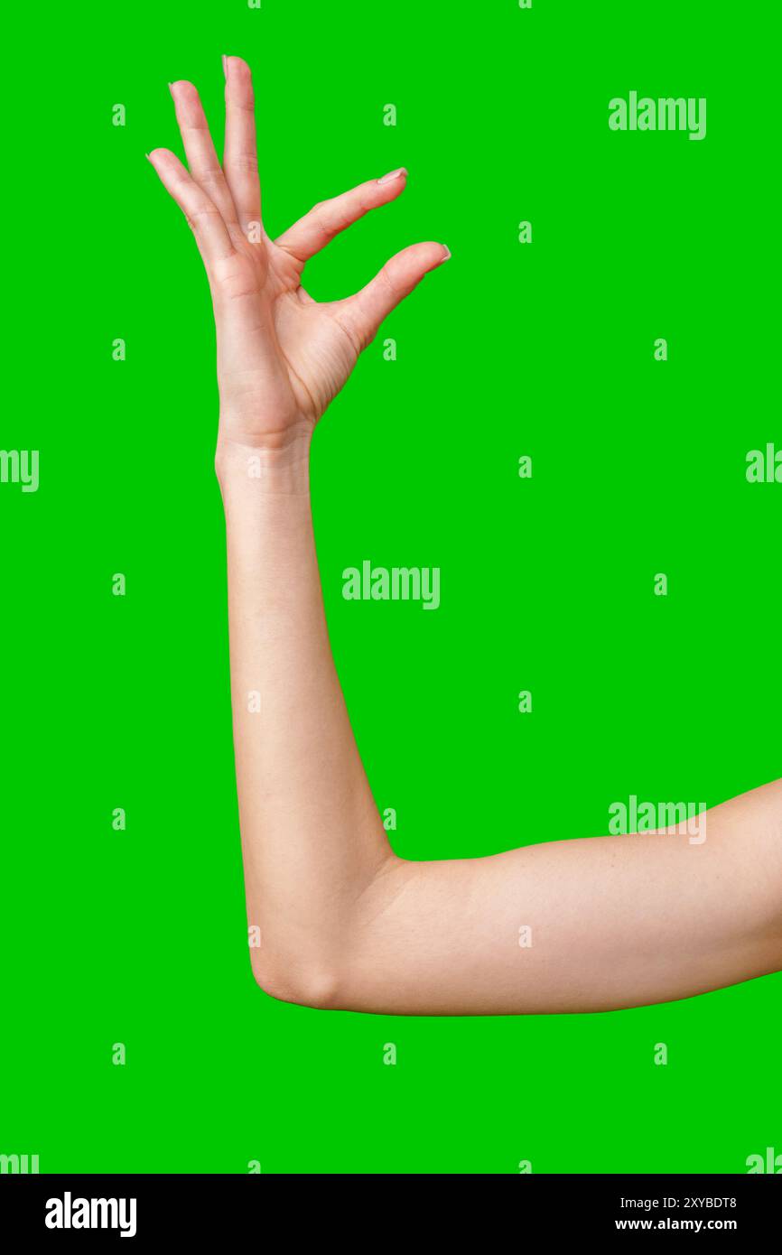 Woman's Hand Making Okay Gesture on Green Screen Stock Photo - Alamy