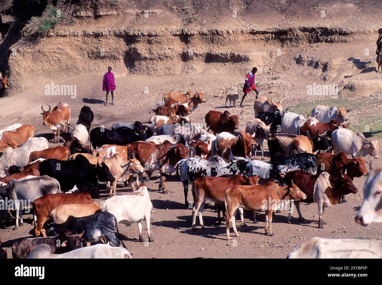 Talek village hi-res stock photography and images - Alamy