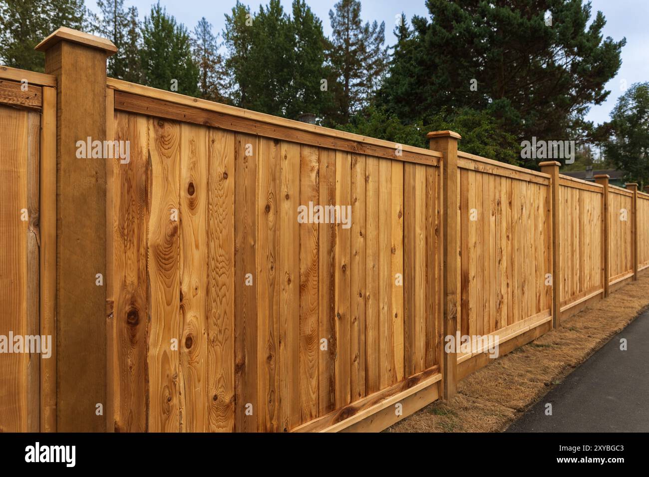 Big new wooden fence around the house and trees. Wooden fence with ...