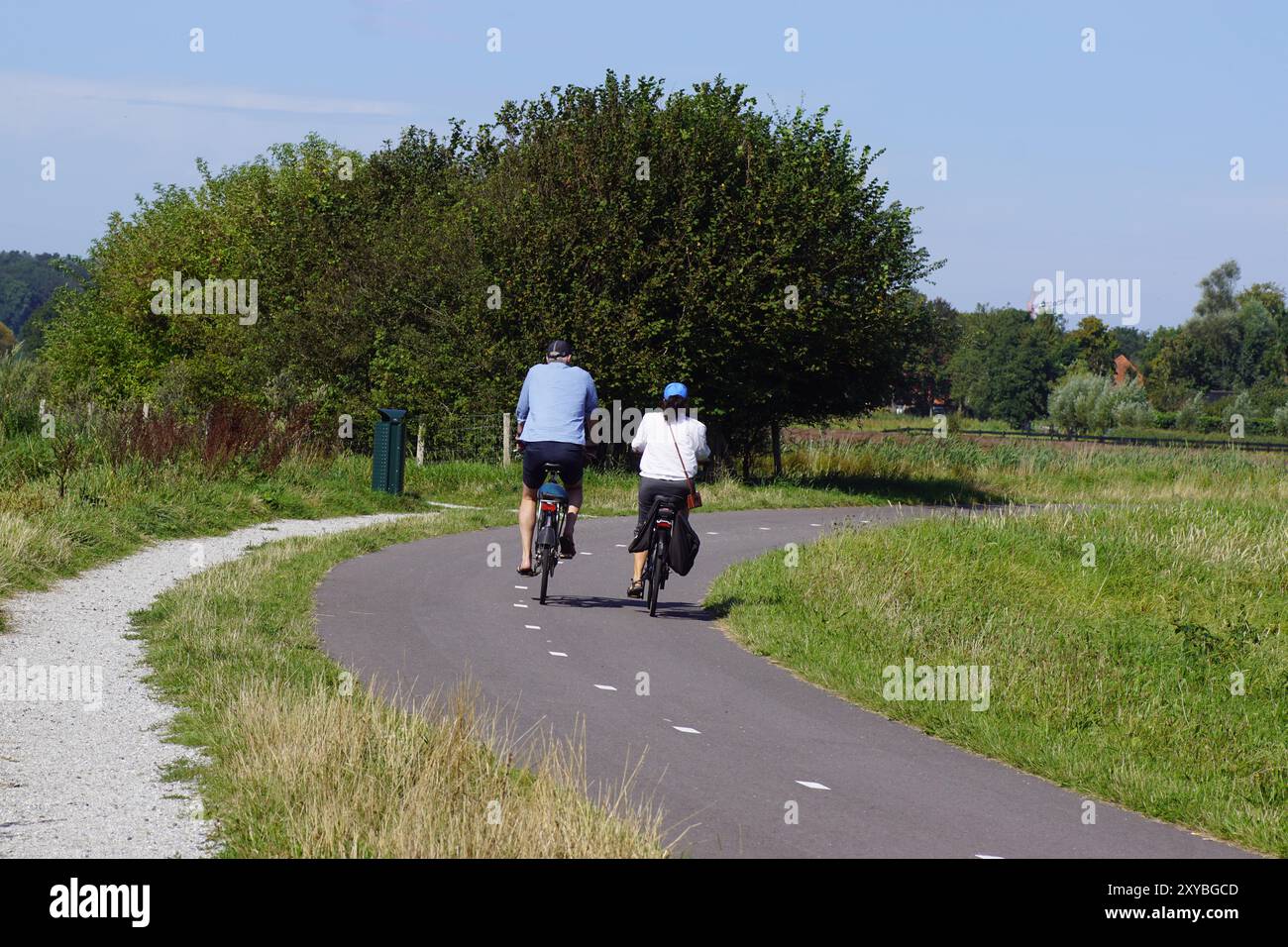 Cyclists on the cycle path (called Paddenpad) next to a shell walking ...