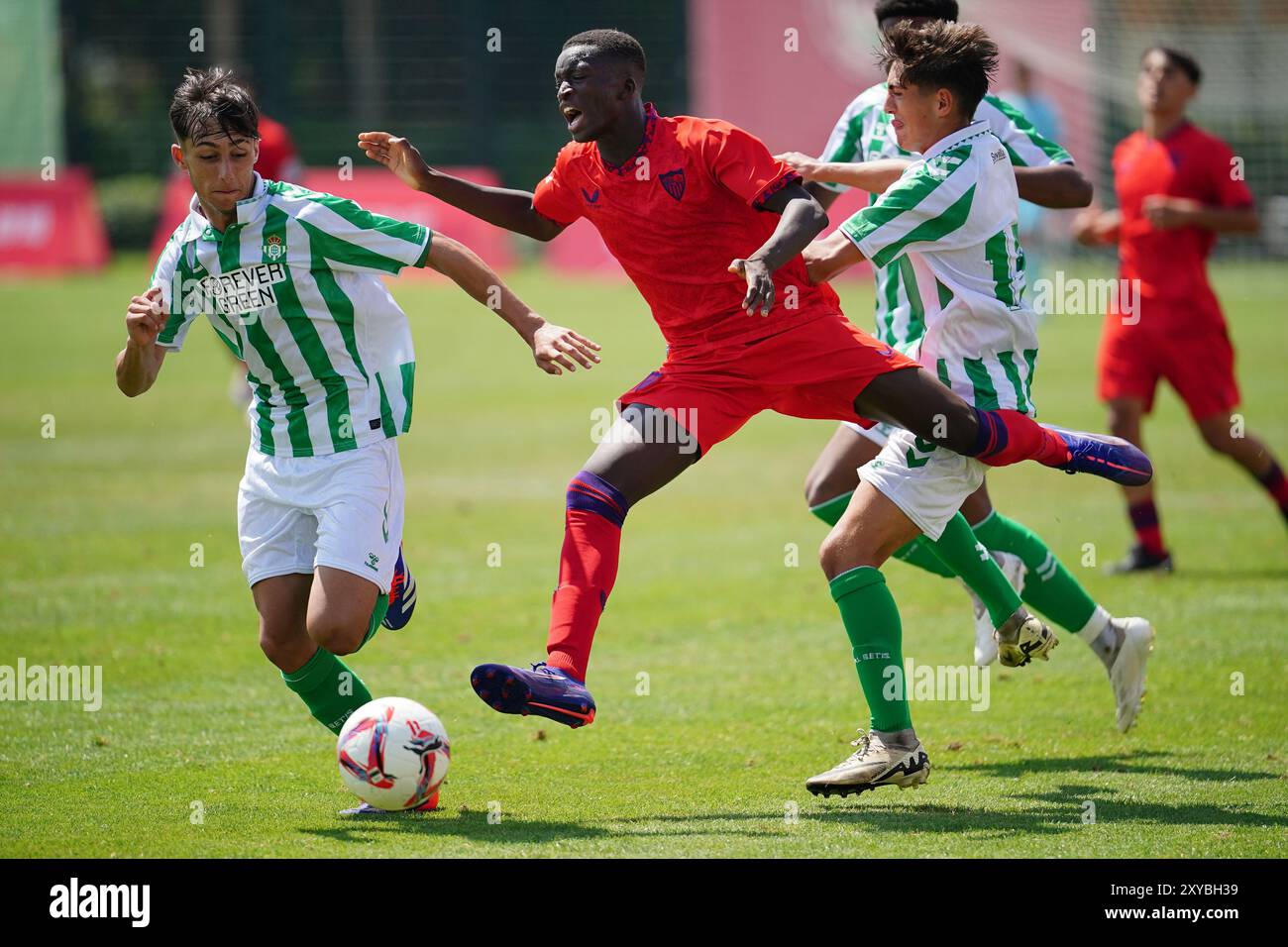 Kunming,China.28th August 2024.On August 28, after 5 match days and 26 ...